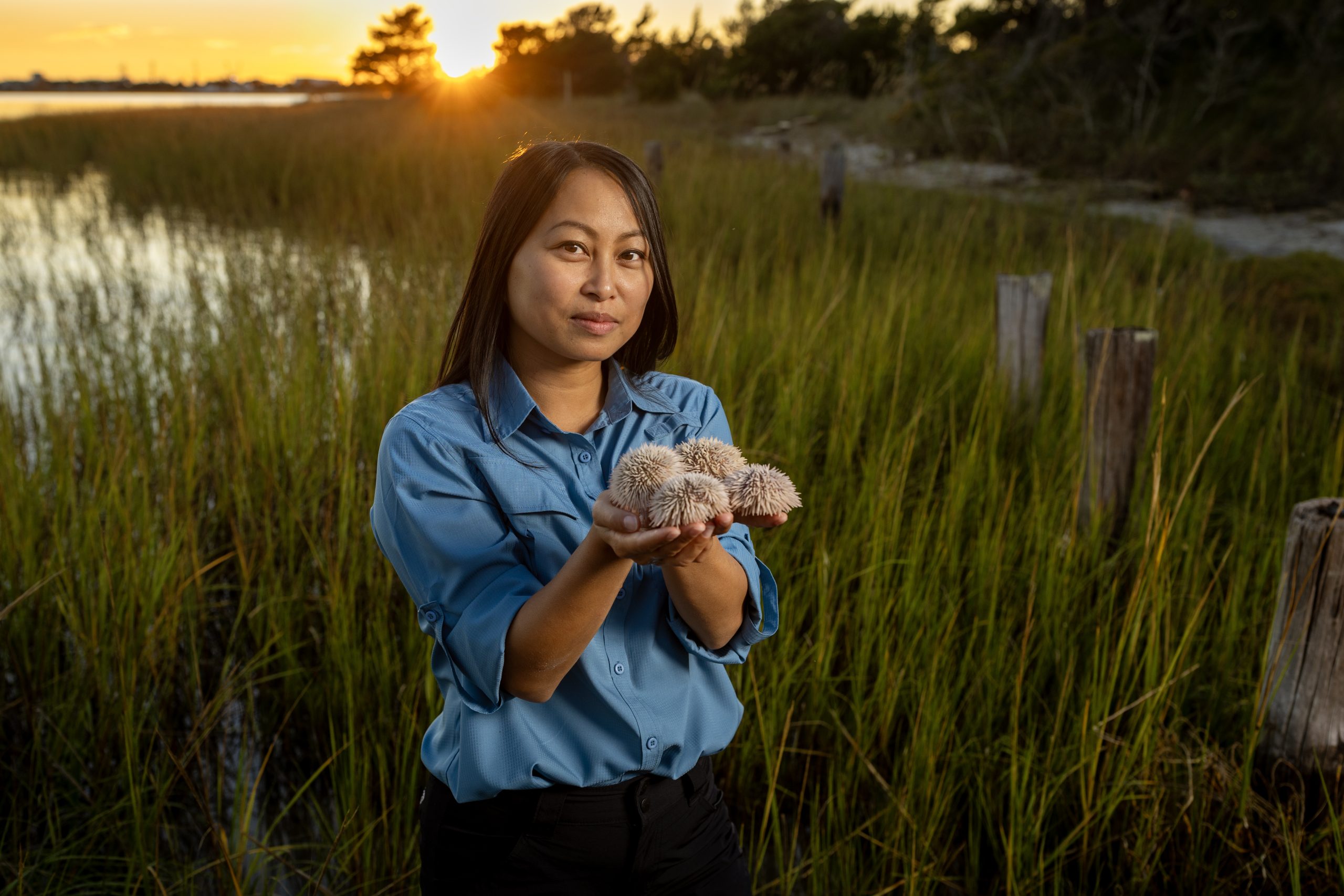 Climate Research Profiles - Climate Commitment